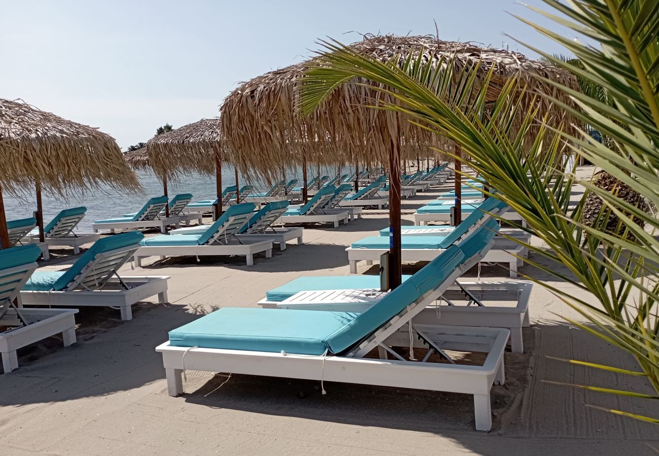 Ocean Beach Bar: Summer at its best! - SUGAR free press